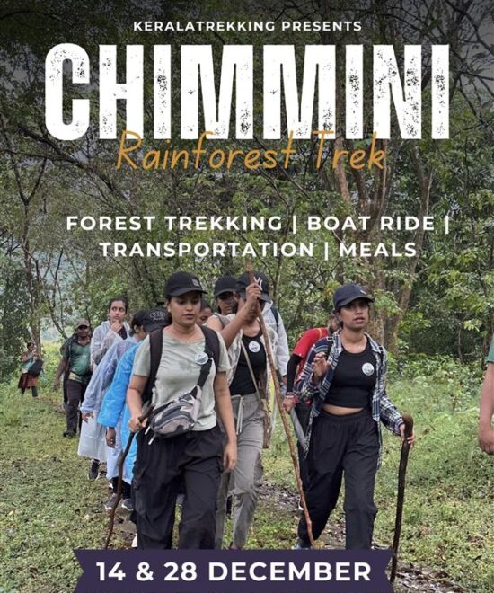 Home - KeralaTrekking